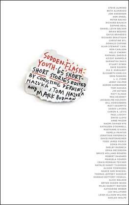 Sudden Flash Youth – Erin Fanning